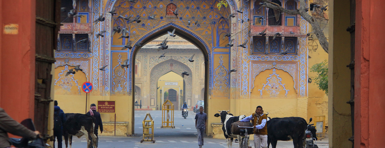 Khamma Ghani Jaipur: Of Heritage, Adventures and Flavours! - No Footprints